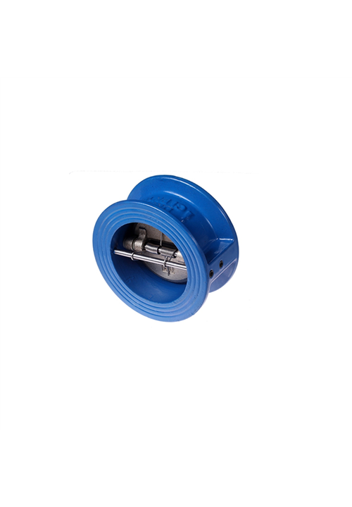 250MM CI WAFER CHECK VALVE, SS D/DOOR PN16 | E2