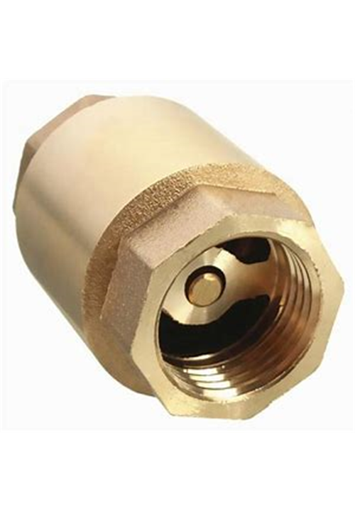 BRASS SPRING LOADED CHECK VALVE 40MM | E2